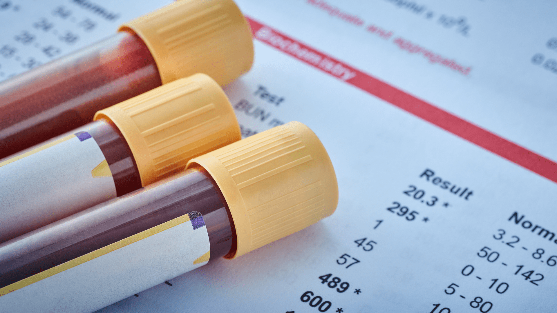 Kidney Health: Screening and Early Detection for Better Well-Being ...